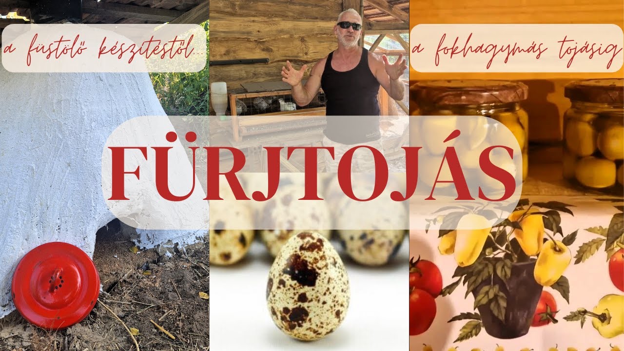 Harmónia Tanya - Fürjtojás füstölő építésétől a chilis-fokhagymás ...