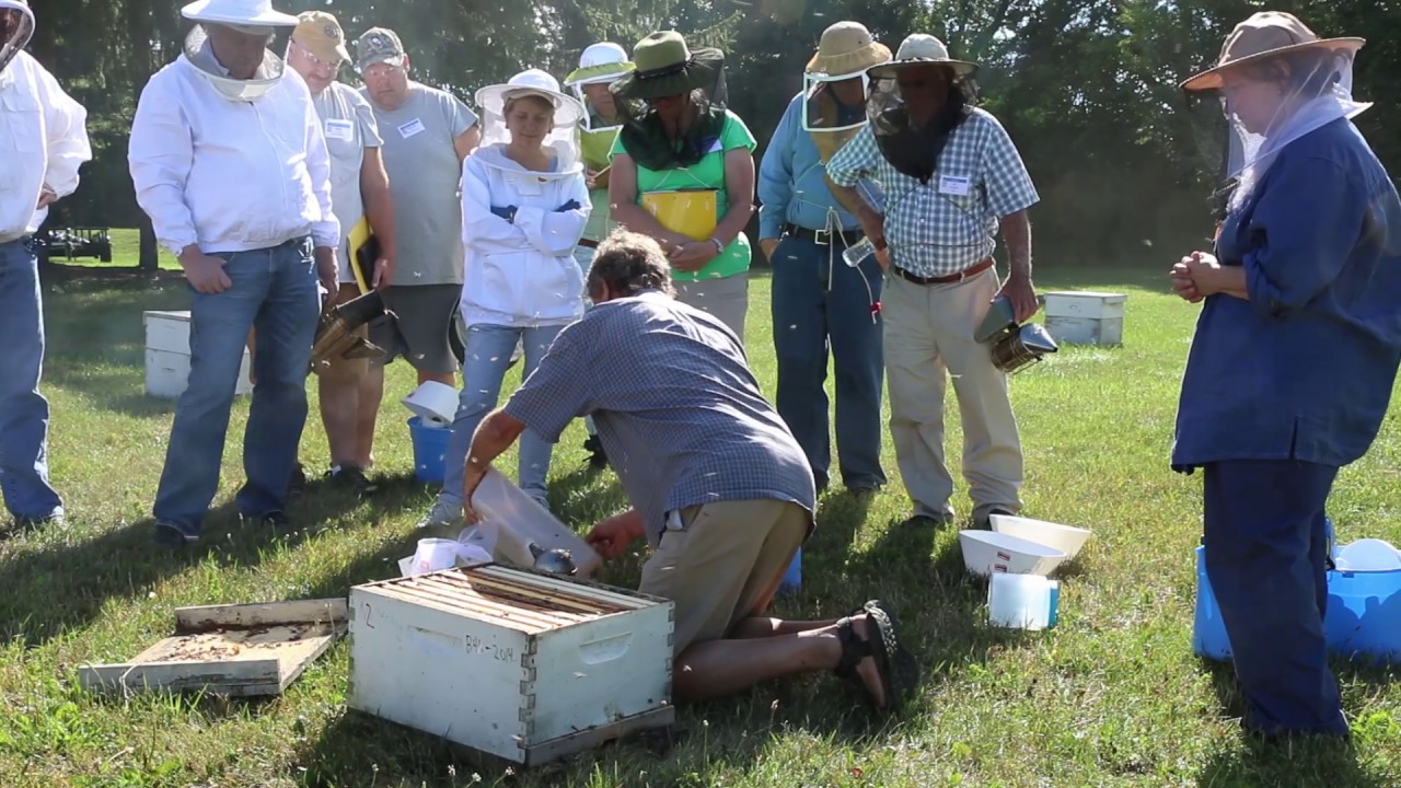 Alcohol Wash for Varroa by Randy Oliver -NY Bee Wellness - YouTube