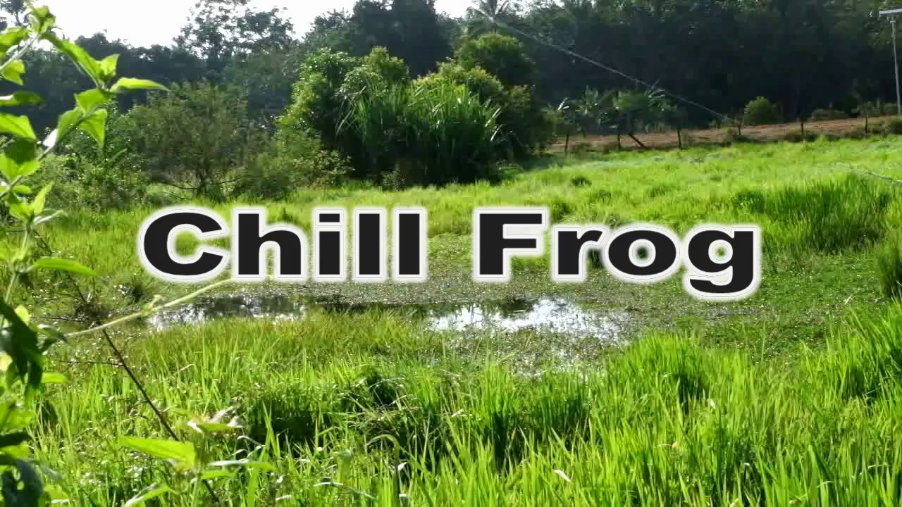ตกปลาช่อนด้วยกบยาง Chill Frog กัดแล้ววัดเอาอยู่ครับ - YouTube