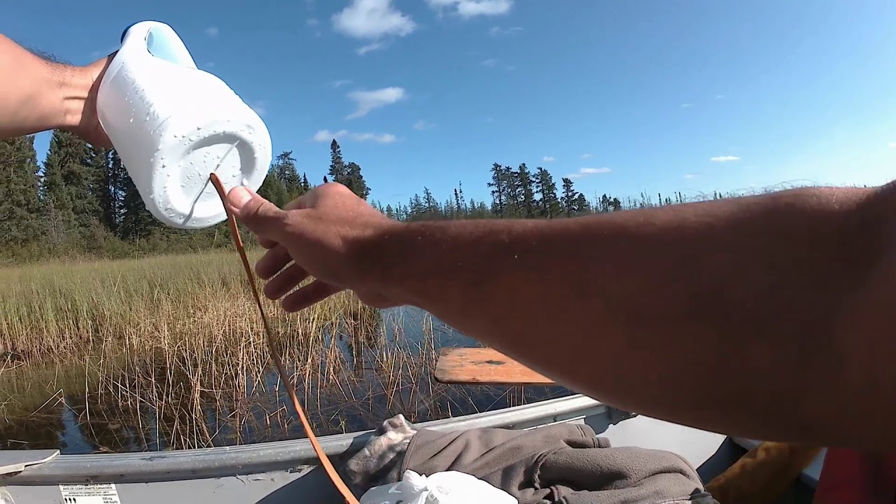 Doug's DIY Moose Call - YouTube