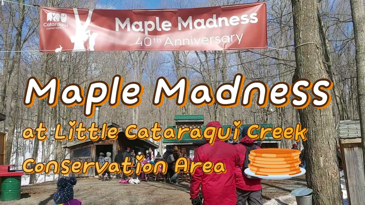 Maple Madness at Little Cataraqui Creek Conservation Area - YouTube