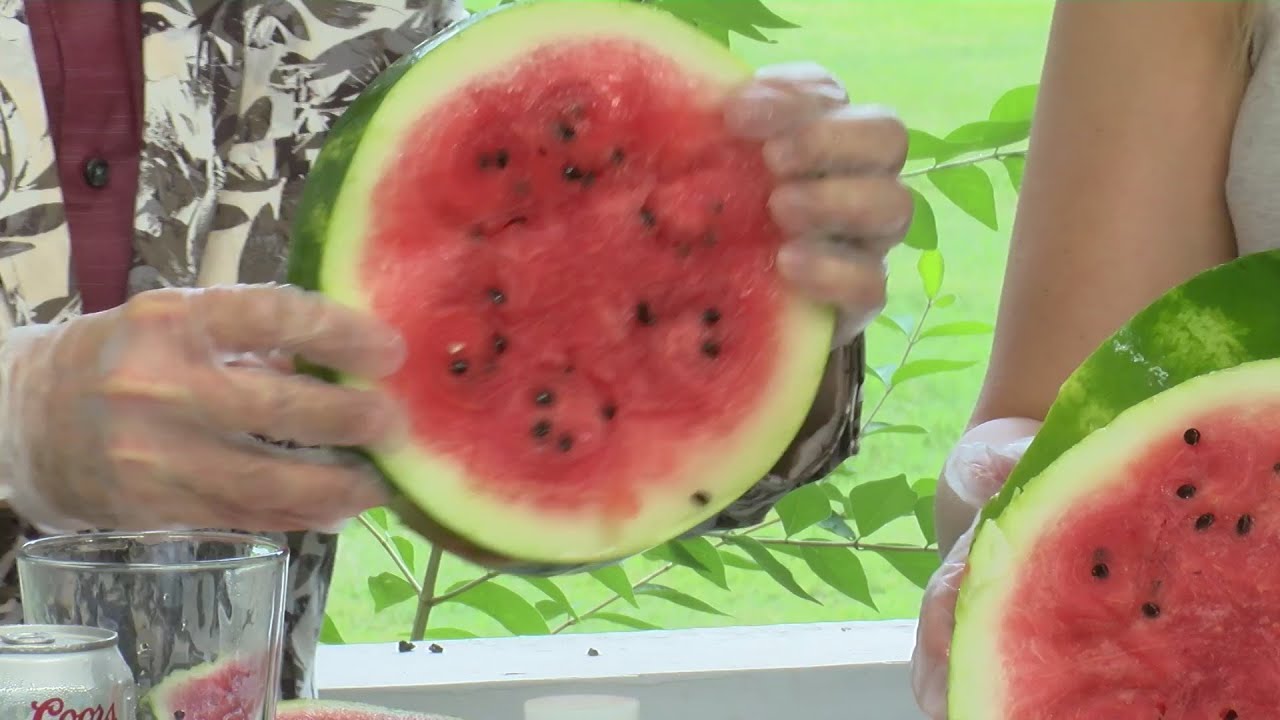 Salt on Watermelon - YouTube