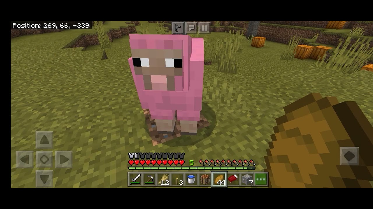 PINK SHEEP IN MINECRAFT SPAWN CHANCE 0.1558 LIKEANDSUBSCRIBE TO MY ...