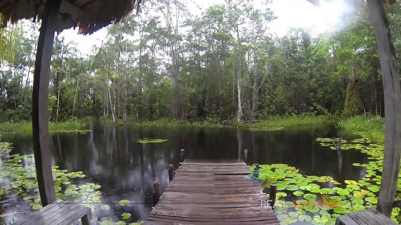 Visit to Pandama Retreat on the Soesdyke Highway - YouTube