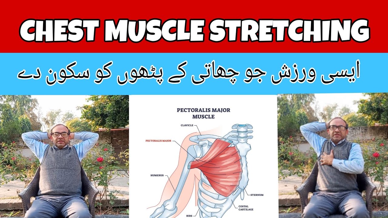 Chest Muscles Stretching - YouTube