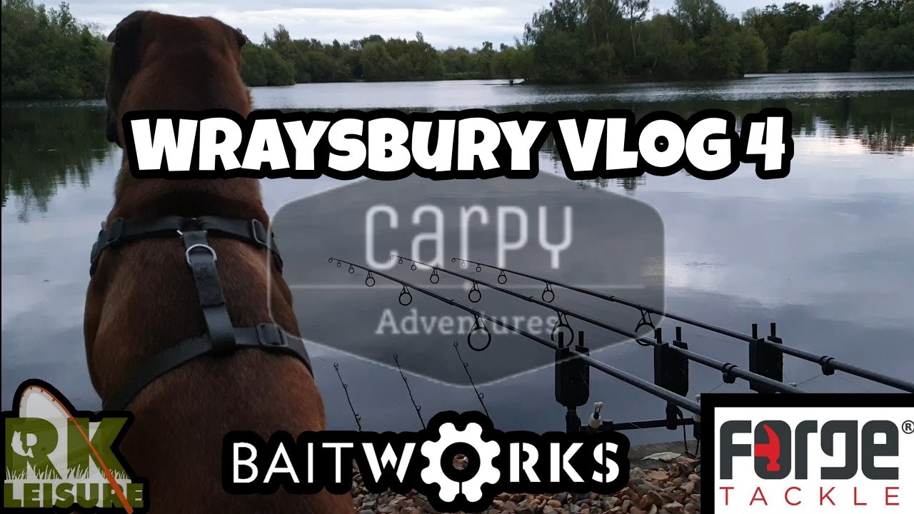 Carp Fishing - Wraysbury Vlog 4 - 2019 - YouTube