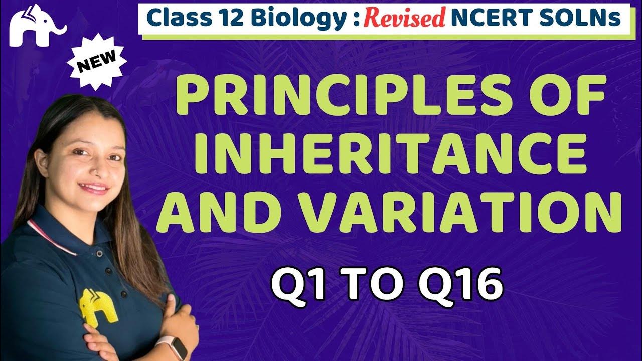 Principles of Inheritance and Variations Class 12 Biology | Revised NCERT Solutions | Chapter 4 ...