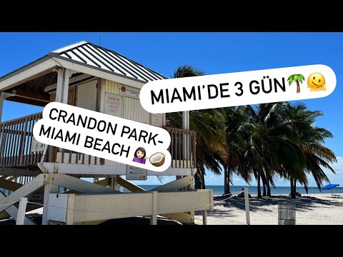 MIAMI VLOG ||| 🧸🌴🥥🥳
