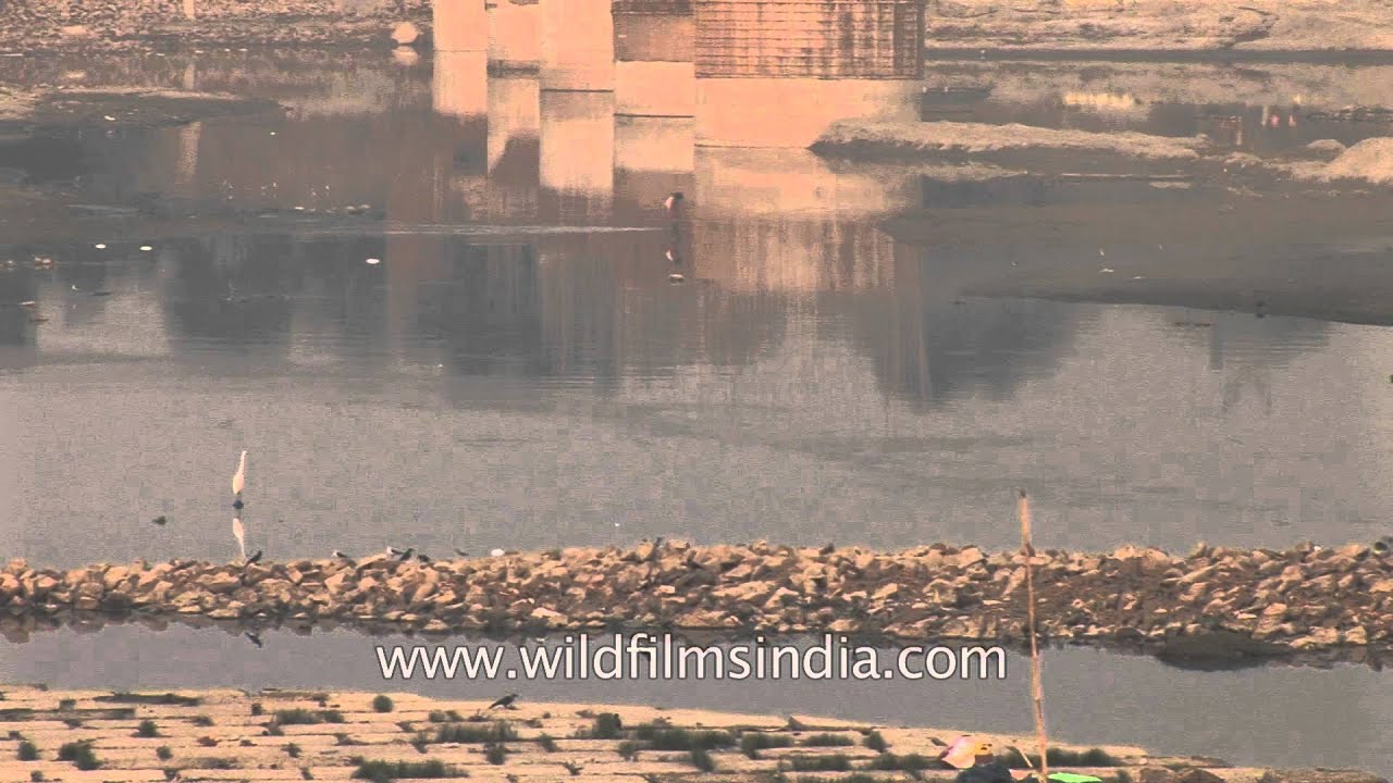 Yamuna : one of the most polluted river in the world - YouTube