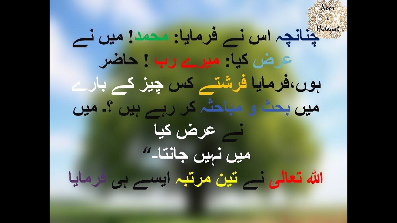 Hadis e Qudsi| Urdu Hadith by Noor e Hidayat | urdu moral stories ...