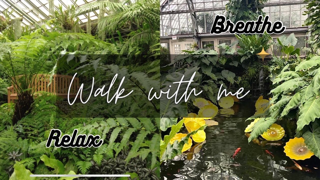 Relaxing Walk Through Garfield Park Conservatory In Chicago - YouTube