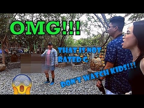 Visiting the reproductive human museum - YouTube