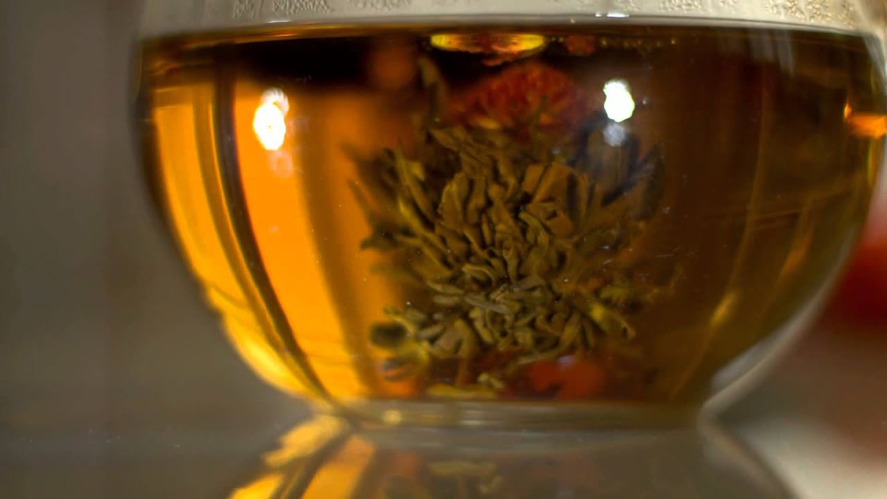 Time Lapse of Flowering Tea | Tea Pursuit - YouTube