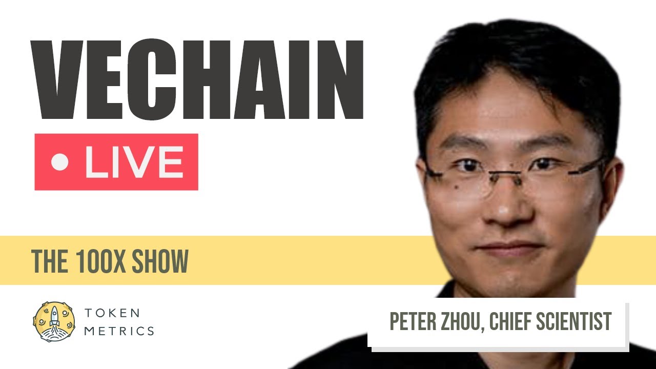 VeChain Interview w/Peter Zhou (Chief Scientist of VeChain) | 100x Show ...