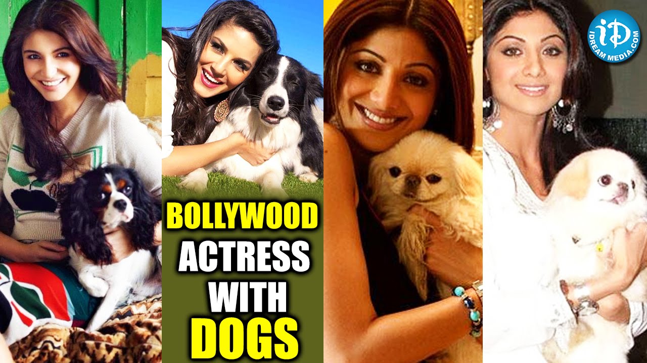 Bollywood Actress With Their Cute Dogs || Celebrities With Their Pets ...