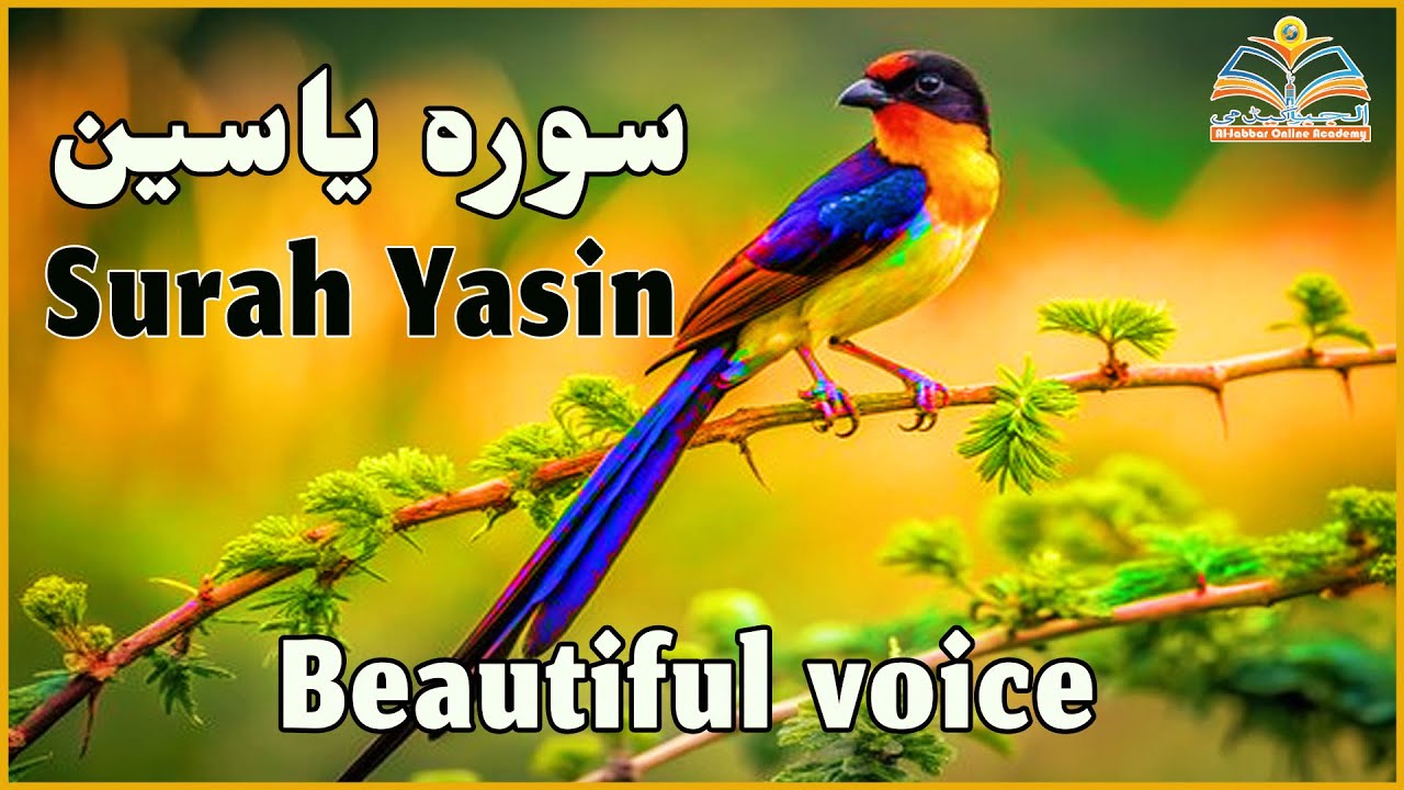 Surah Yasin ( Yaseen ) | Surah yasin full (HD) | surah yaseen beautiful ...