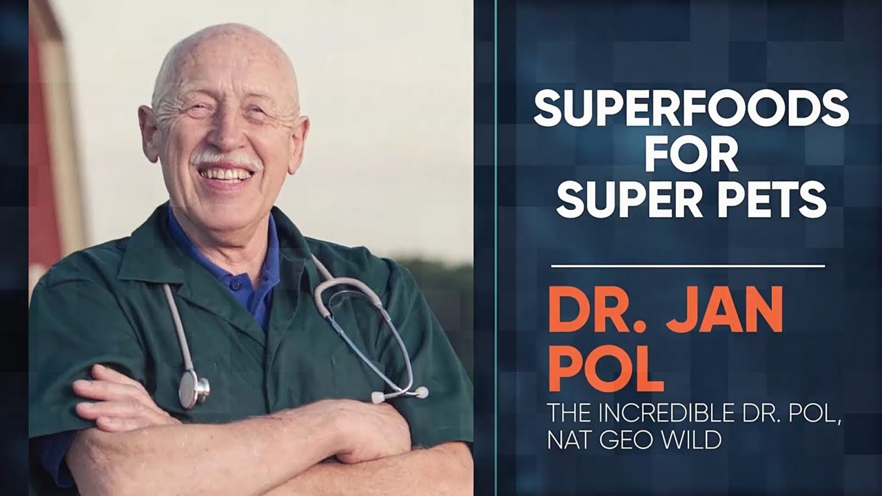 The Incredible Dr. Pol joins the Alltech ONE Virtual Experience - YouTube