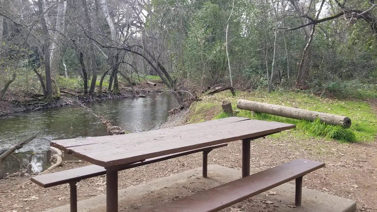 Camp Chico Creek: Creek Site - YouTube