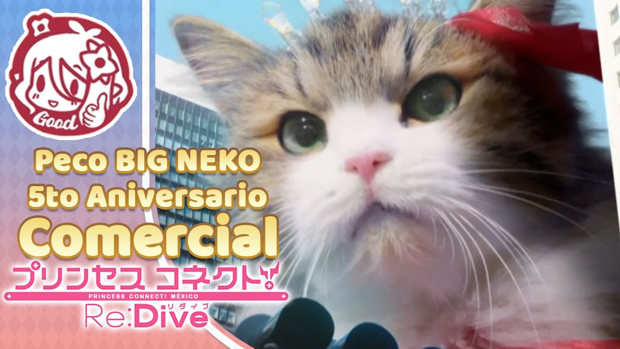Princess Connect! Re: Dive | Comercial | Peco BIG Neko | 5th ...