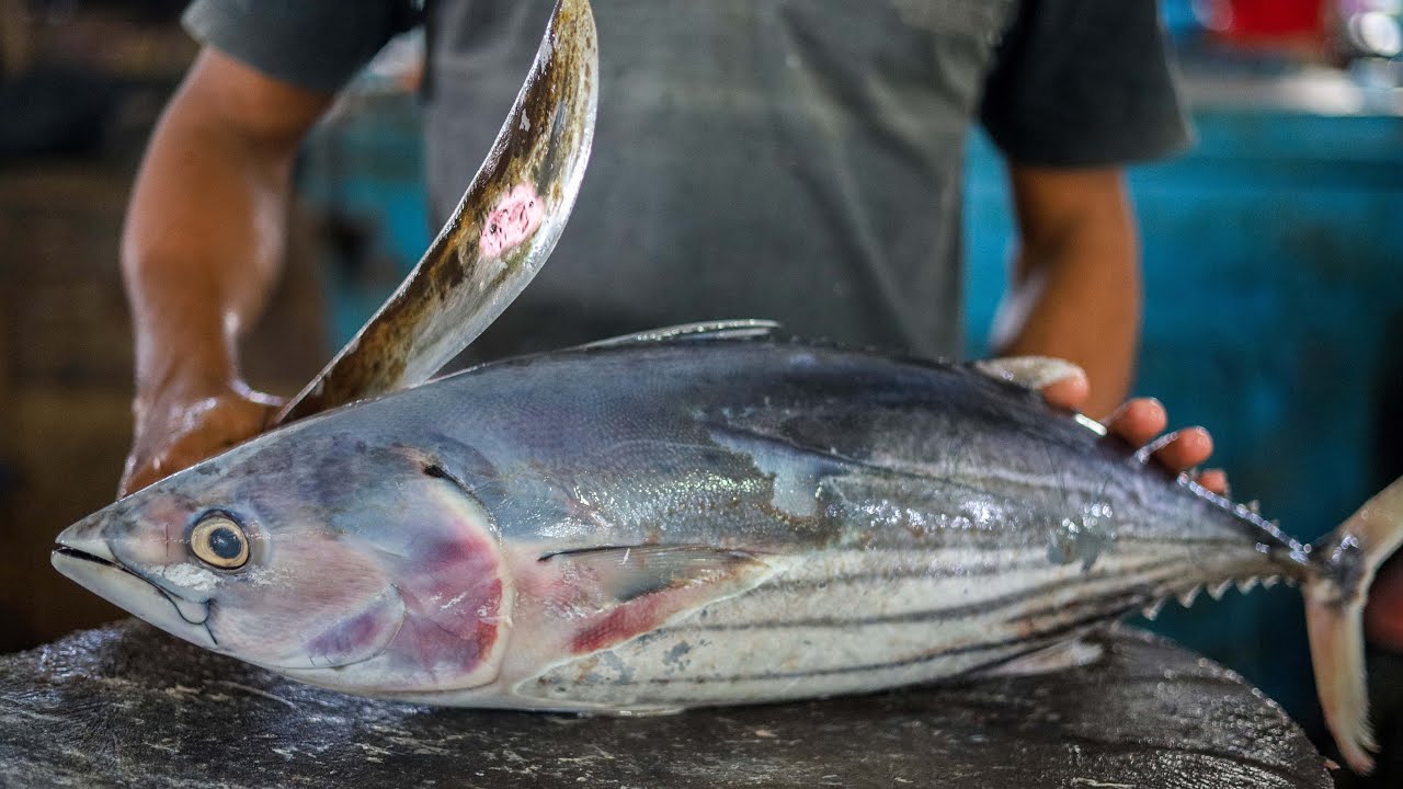The Sharpest Tuna Machete In The World! Tuna Fish Cutting Master Skills ...