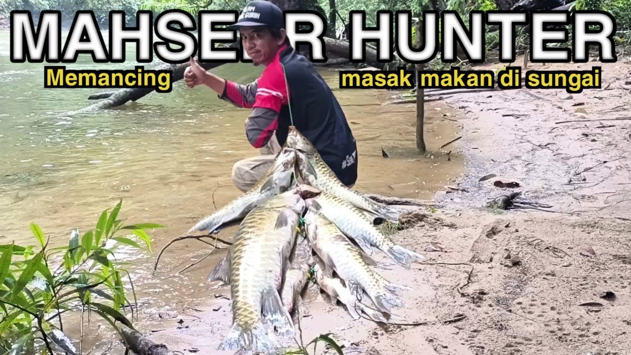Berburu ikan sultan !! di sungai belantara hutan Kalimantan - YouTube