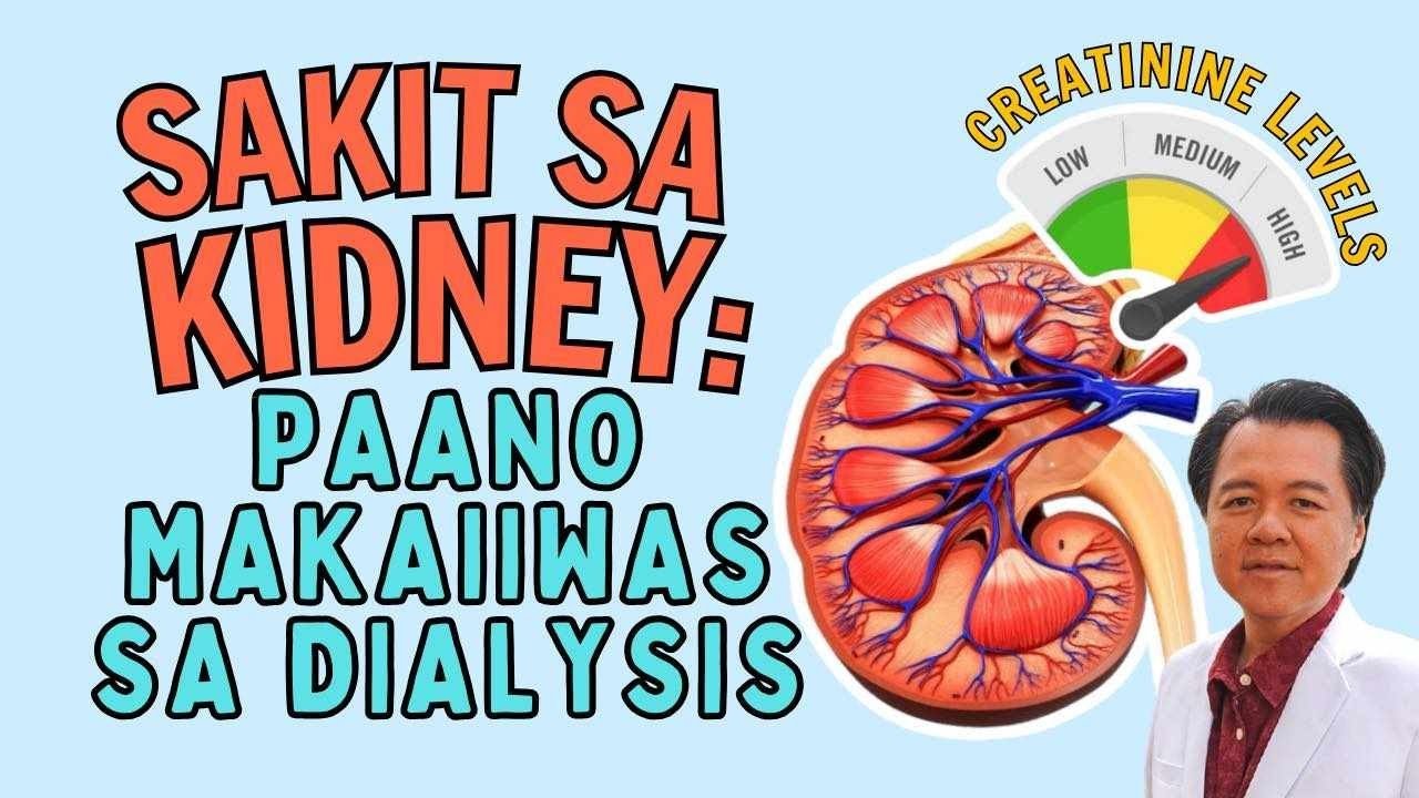 Sakit sa Kidney: Creatinine Mataas: Paano Iiwas sa Dialysis at ...