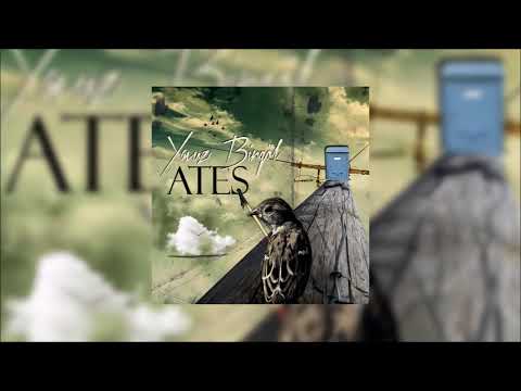 Yavuz Bingöl - Bahçada Yeşil Çınar