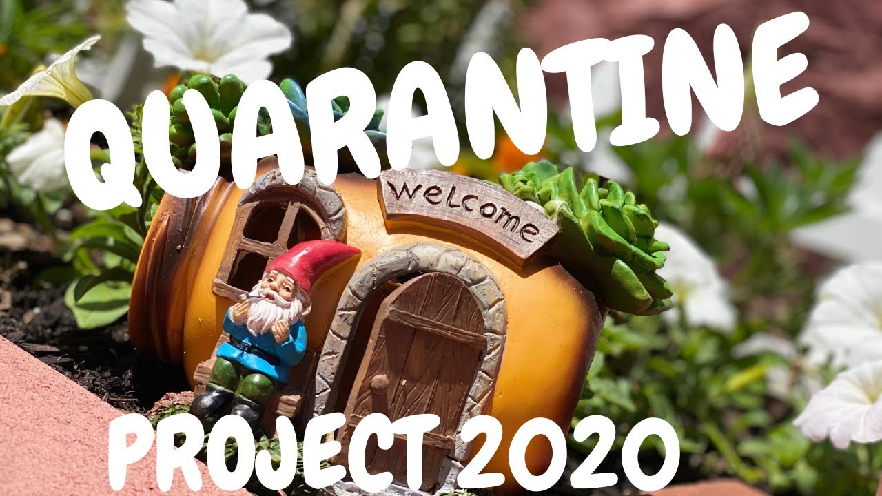 FUN DAY IN QUARANTINE | QUARANTINE PROJECT 2020 - YouTube