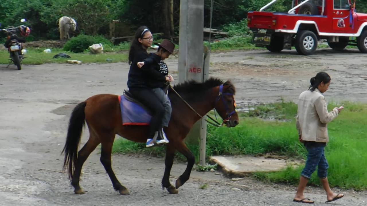 Horseback Riding With a Guide - YouTube