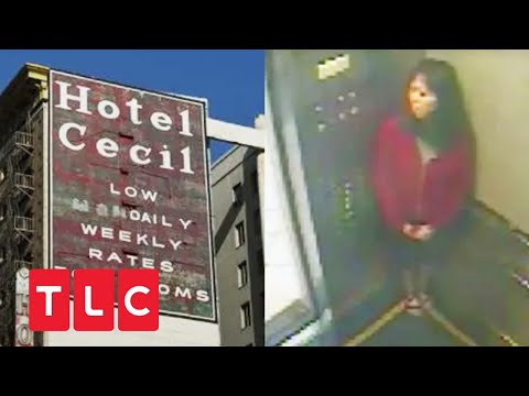 Ein Rätsel des Internets: Was ist mit Elisa Lam wirklich passiert?😔 | Stimmen im Kopf