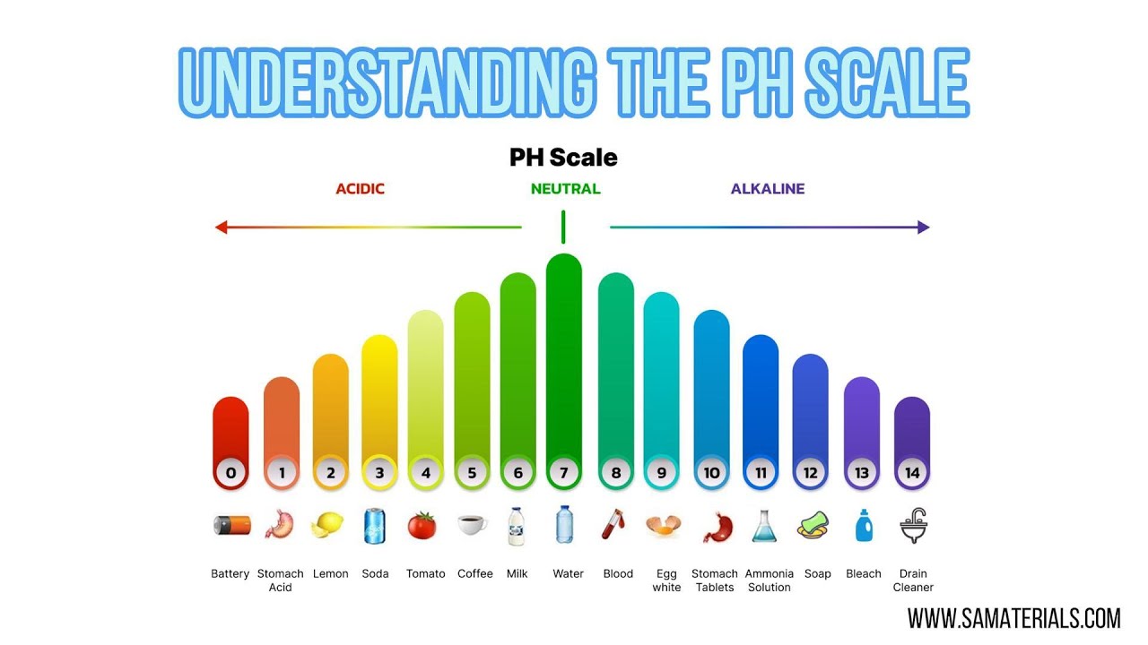 pH Scale Explained in 2 Minutes: Acids, Bases & Real-Life Examples ...
