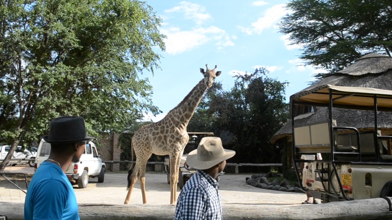 Pamuzinda Safari Lodge - YouTube