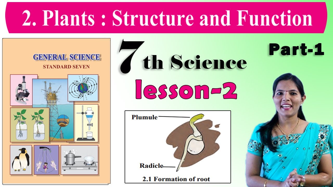 7th Science | Plants Structure and Function | Chapter 2 | Part 1 ...