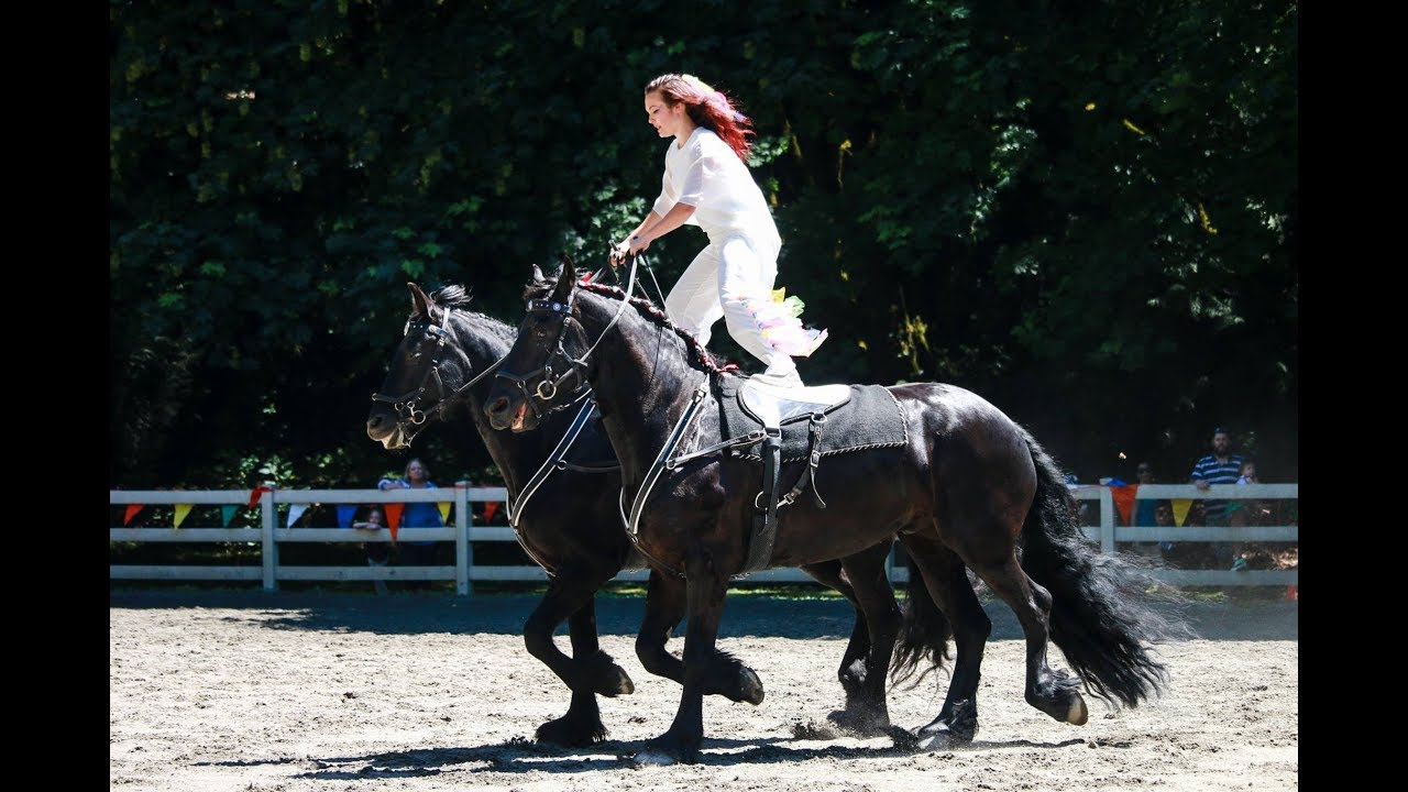 Roman Riding Performance [ Party in the Park] ~ HD - YouTube