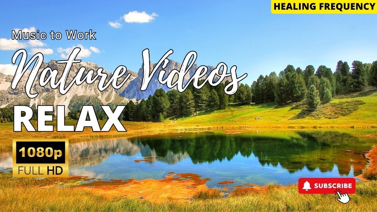 Nature Therapy: Relaxing Full Motion Forestry with Natural Sounds ...