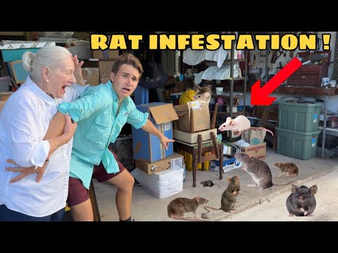 RAT INFESTATION AT MY GRANDMAS HOUSE ! WHAT NOW ?! - YouTube