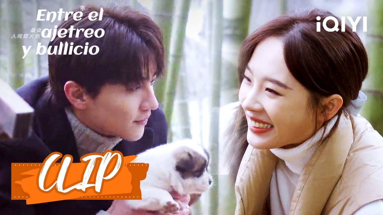 Si Qing y Jing Chen juegan con cachorros | Entre el ajetreo y bullicio ...