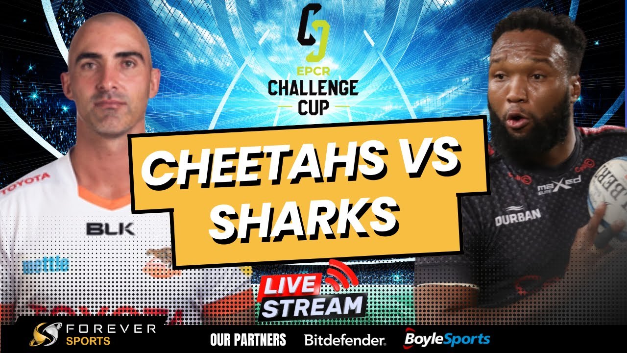 CHEETAHS VS SHARKS LIVE! | Challenge Cup Live Commentary & Watchalong ...