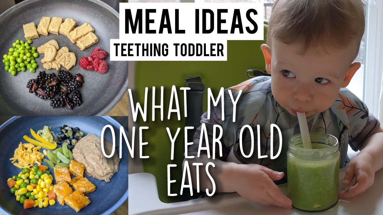 What my 1 Year Old Eats in a Day - Toddler Meal Ideas for Teething Baby ...