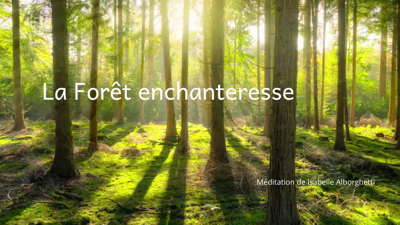 La Forêt enchanteresse - YouTube