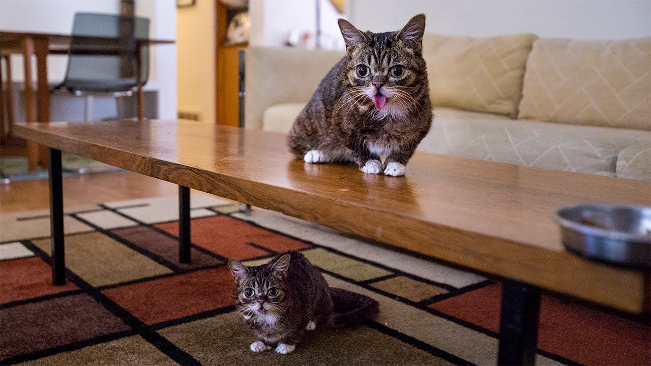 There are actually TWO BUBS (April Fools Magic) - YouTube