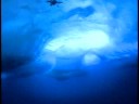 Arctic 2002: Breathtaking Under-ice Diving Photography - YouTube