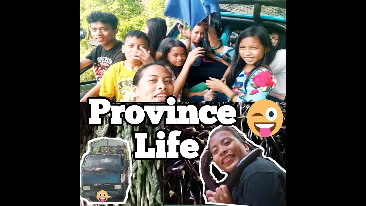 Province Life - YouTube