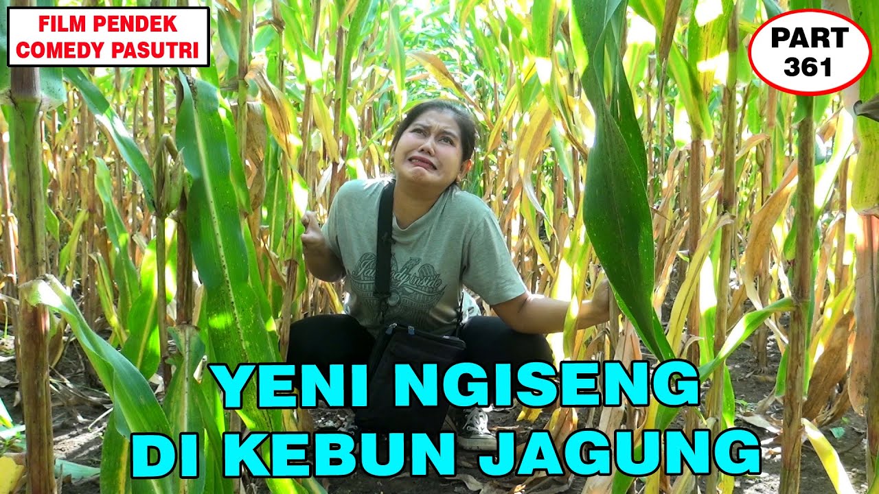 Yeni Ngiseng Di Kebon Jagung !! Eps 361 - YouTube