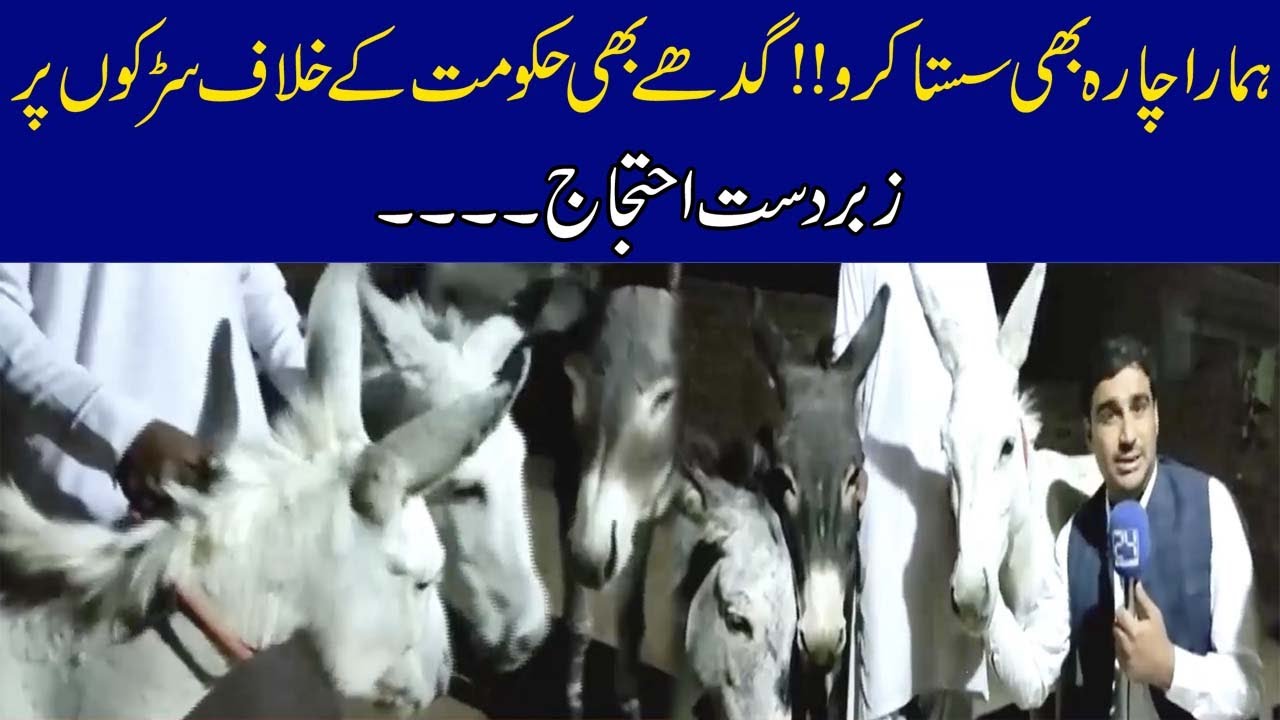 Must Watch ! Unique Donkey Protest Over Inflation - YouTube