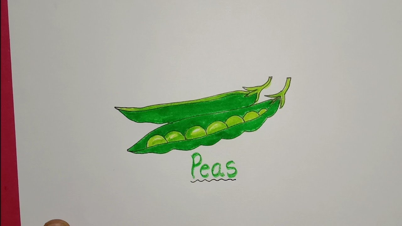 How to draw peas / peas drawing for kids / How to draw peas for kids ...
