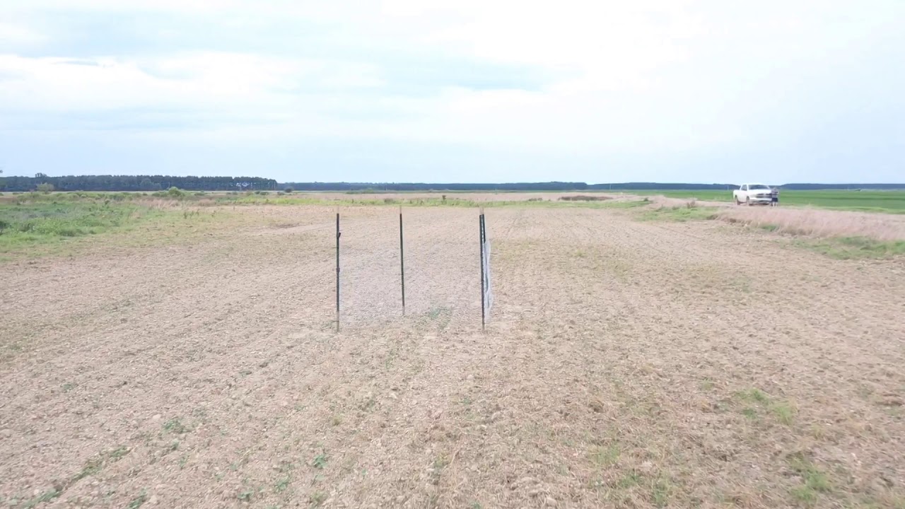 Food plot #2 - YouTube