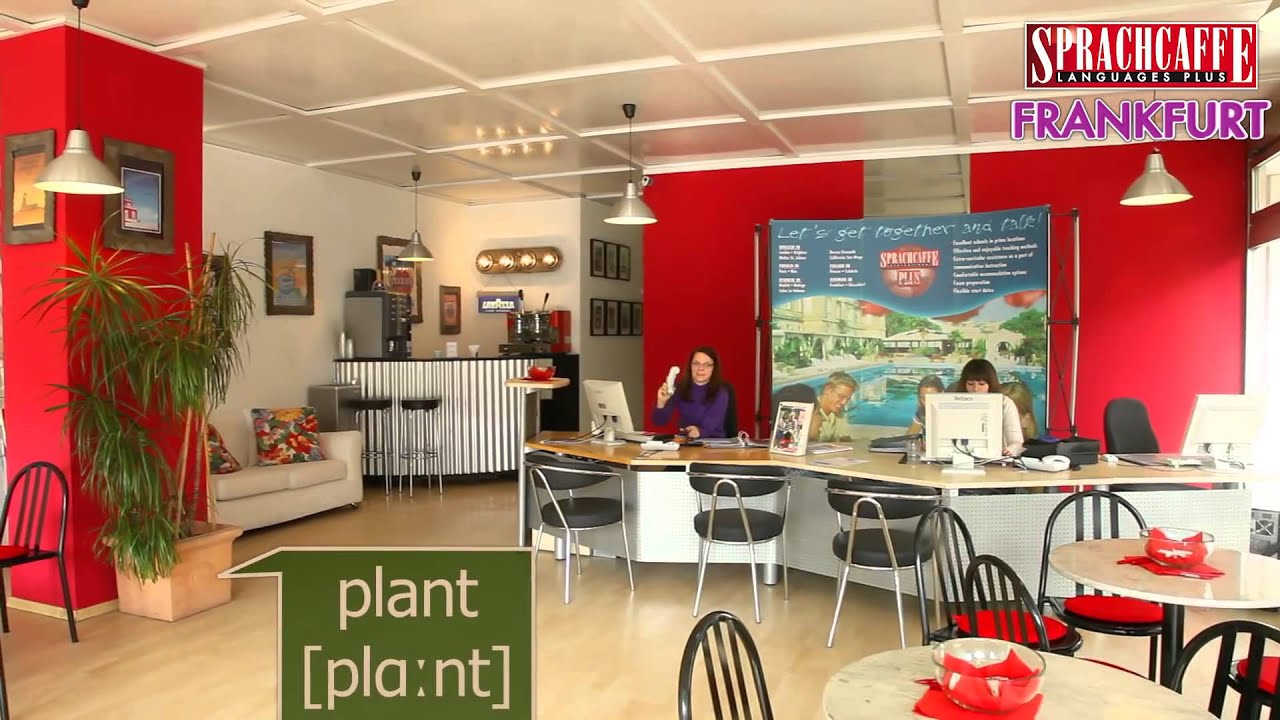 Sprachcaffe Frankfurt Germany2 - YouTube