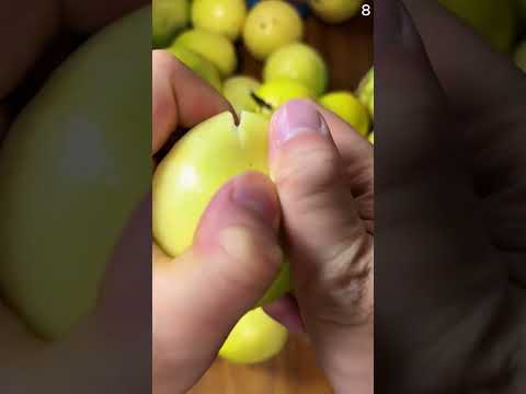 Teknik cerdas membelah buah markisa dengan tangan kosong #shorts