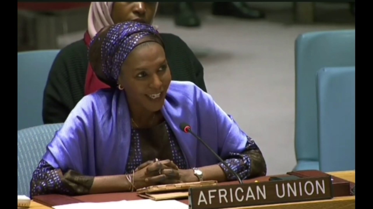 Amb. Fatima Kyari Mohammed on the AU-UN Joint Mission to the Horn of ...